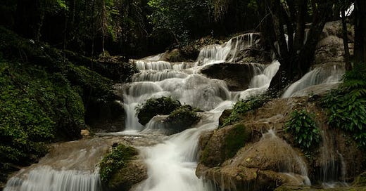 Wisdom Waves | Vex King | Substack