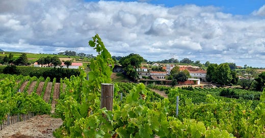 Manuel Moreira | Substack