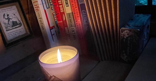 Dispatches From The Shed | Lyn Slater | Substack