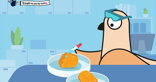 Healthtech Pigeon 🐦 | SomX | Substack