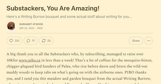 Linda's Substack | Substack