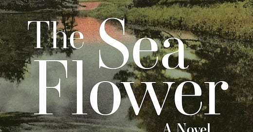 The Seaboard Review | Substack