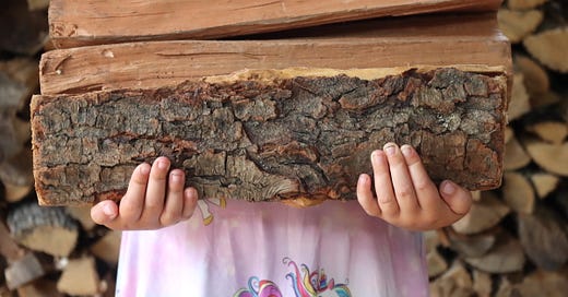 Practical Self Reliance | Ashley Adamant | Substack