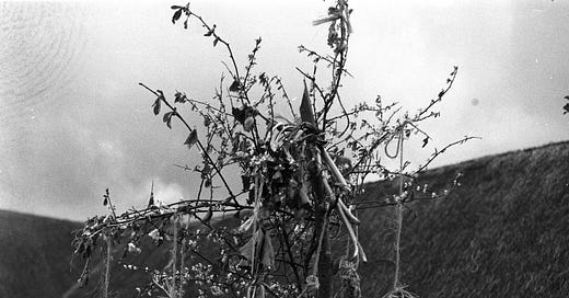 The Celtic Creatives | Jennifer Murphy | Substack