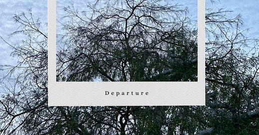 Ten Thousand Journeys | Priya Iyer | Substack