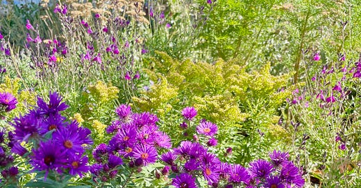 Wild Revival Gardening with Angela K. Nickerson | Substack