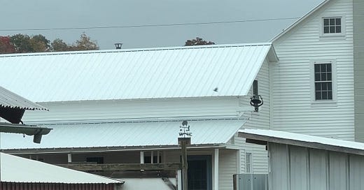 House of Green | Alexandra Fasulo | Substack