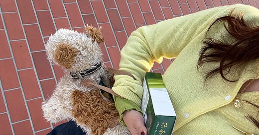 The Molehill | Viv Chen | Substack