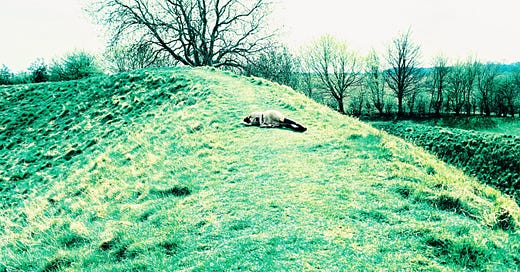 Jena Malone | Substack