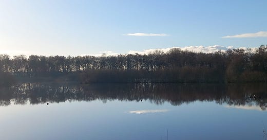 Tim @ North and South | TIMOTHY SHORT | Substack