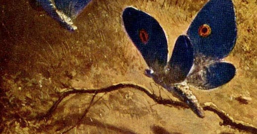 Read the Classics with Henry Eliot | Substack