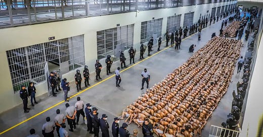 The White Pages | Garrett Bucks | Substack