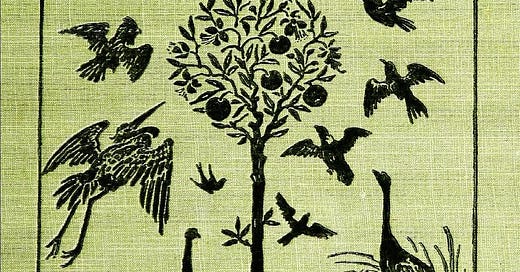 The Orange & Bee | Substack