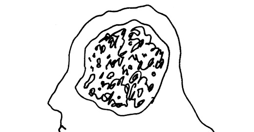 Liana’s Newsletter | Liana Finck | Substack