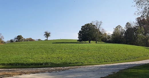 Perseverance | Joanne Rossmassler Fritz | Substack