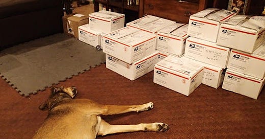 Out of the Wild with Ken Ilgunas | Substack