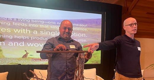 Resilient Wine | Stevie Stacionis | Substack