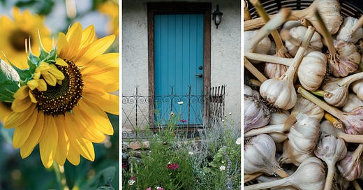 The Elliott Homestead Newsletter | Shaye Elliott | Substack