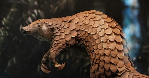 IP Wave | Read IP Wave | Substack