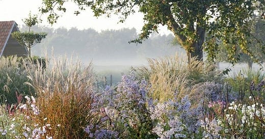 Yours Truly, | Serena | Substack