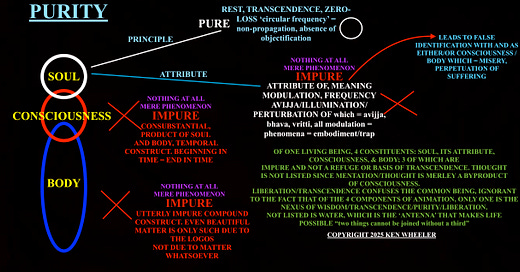 Ken Theoria Apophasis Substack | Ken wheeler | Substack