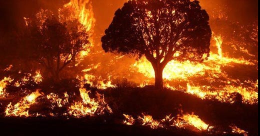 Dr Gary Payinda's Substack | Substack