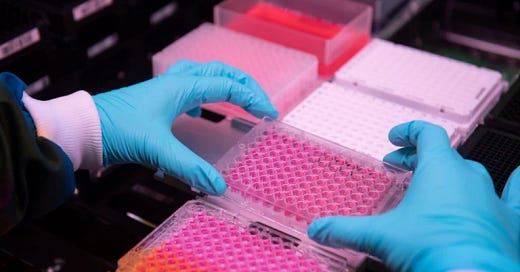 Things Hidden in Complexity | Moriarty | Substack