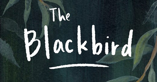 Dandelion Seeds: Illustrated Essays | Candace Rose Rardon | Substack