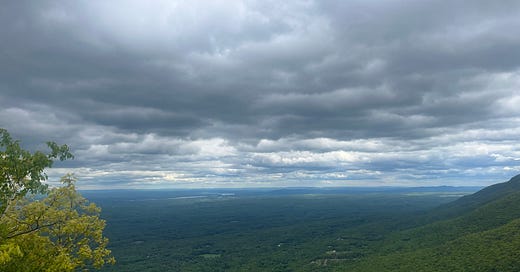 Recovering | Holly Whitaker | Substack