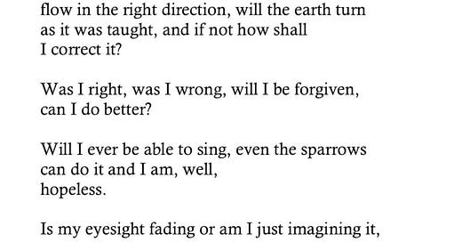 mindy’s substack | mindy isser | Substack