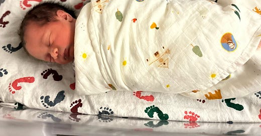 A Celebration - Christopher F. Rufo