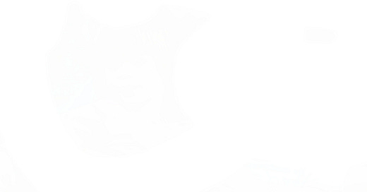 Carl Jung | Substack