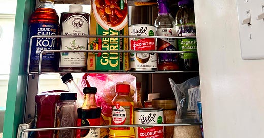 Preserving the South | April McGreger | Substack