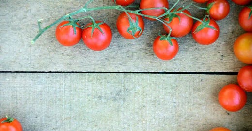 Homegrown Tomatoes for the Win - by Gretchen