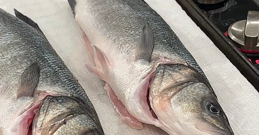 Forklore | Maddy | Substack