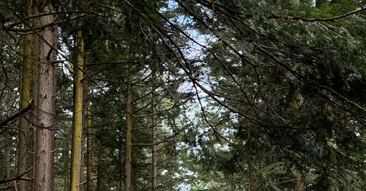 Madison Spain Club | Blakely Spoor | Substack