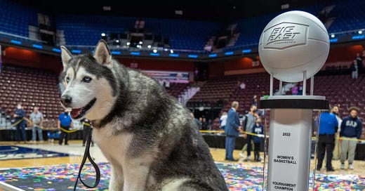 Fun Fact Friyay | Joey Held | Substack