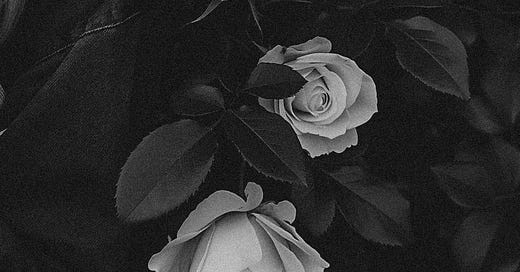 The Soul Salon Inner Circle | Jade Elana | Substack