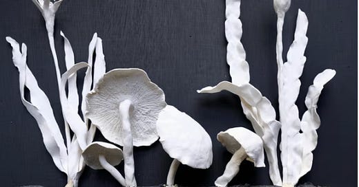 Rethink with Rachel | Rachel Botsman | Substack