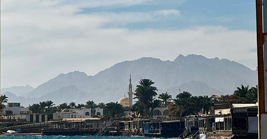 Kind of Wild | Sascha Camilli | Substack