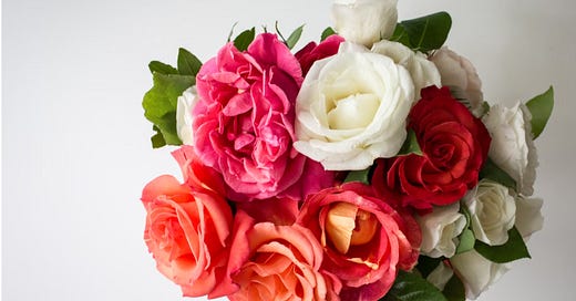 John’s Substack | John Saccone | Substack