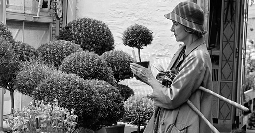 The Perfect | Substack