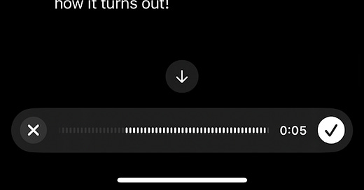 Flying Penguins | Joey DeBruin | Substack