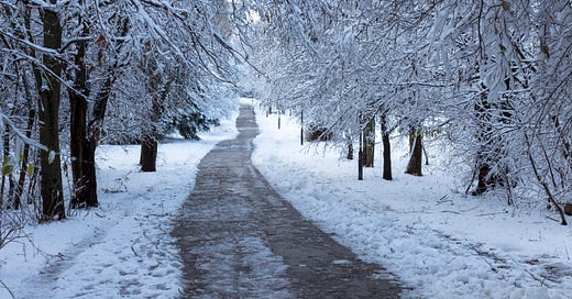 The Clearing by Katherine May | Substack