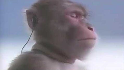 Becoming Noble | Johann Kurtz | Substack