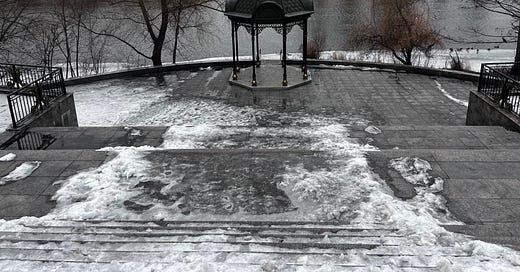 Jade’s Substack | Jade McGlynn | Substack