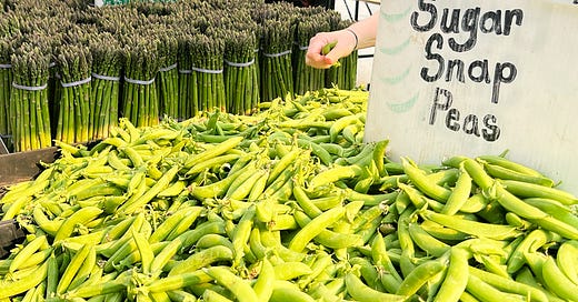 The Perfect Bite | Substack