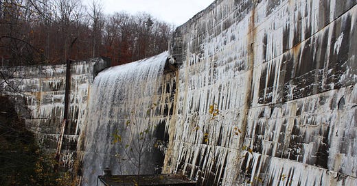 Green Tape | Thomas Hochman | Substack