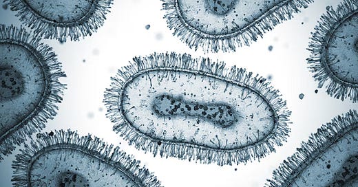 LIL Science | LIL_Science | Substack