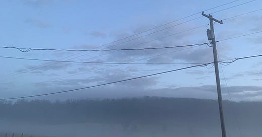 One Brave Thing | Geneva Eby | Substack